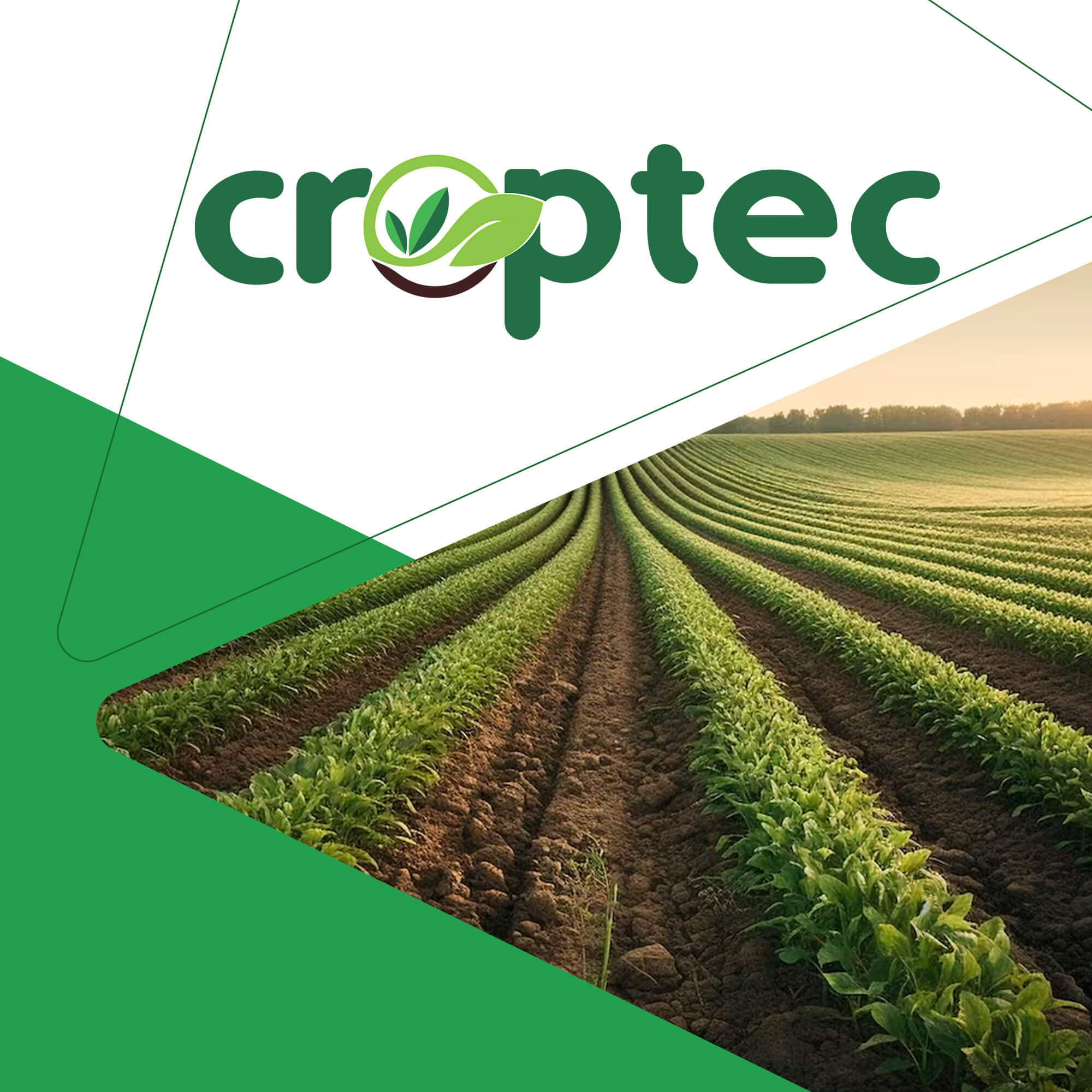 Sobre nós – Croptec